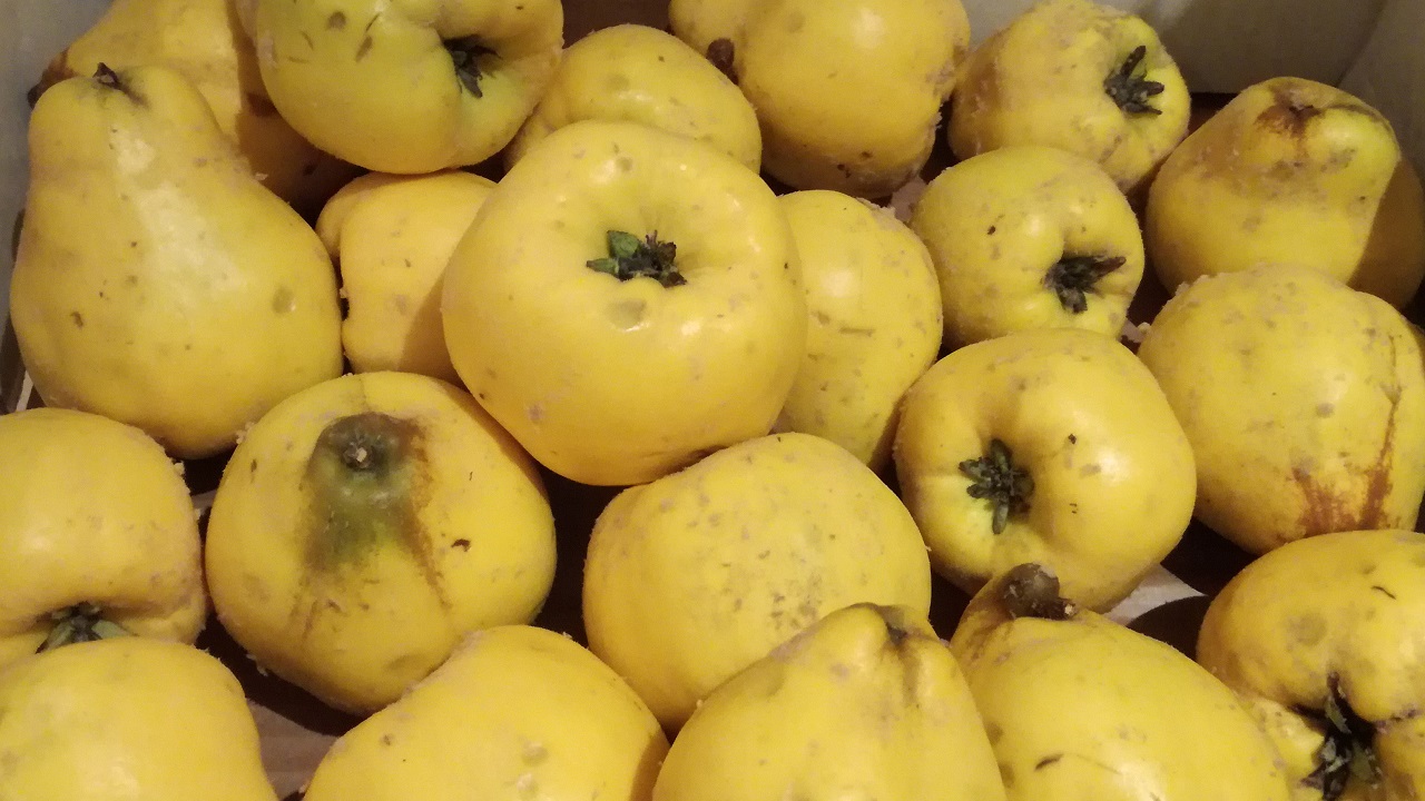 Svinefedt – godt eller skidt? – KonenmedGryden.dk